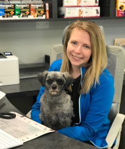 Meet Our Team - Westgate Animal Clinic